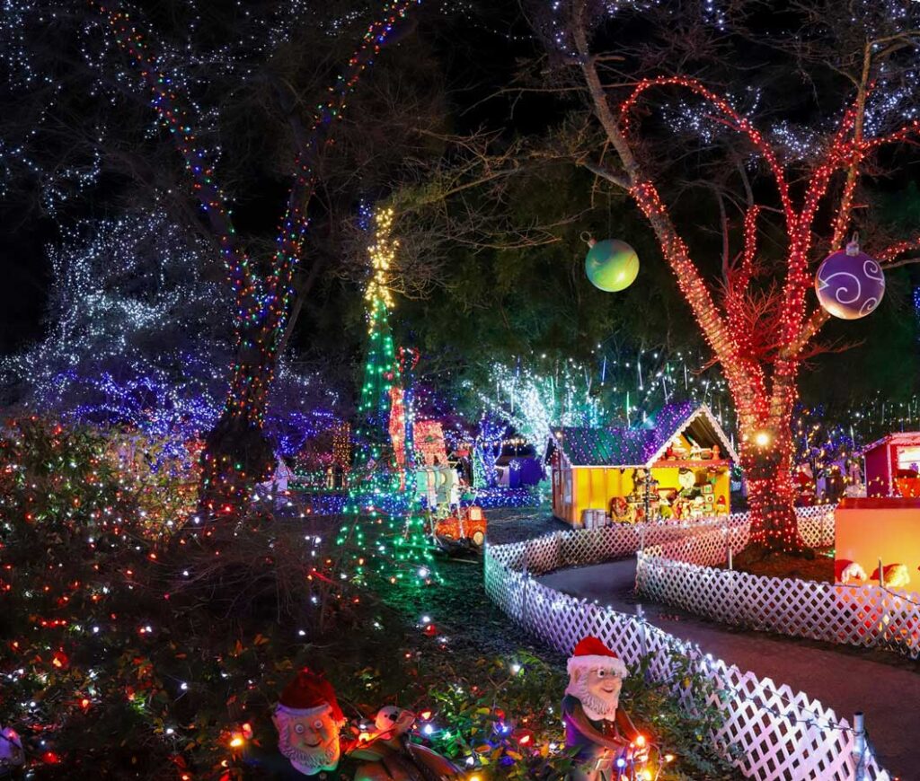 Bright Nights Surrey 2025 - Vancouver Christmas